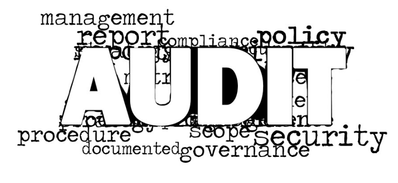 The Complete Guide to Agile Auditing for Companies