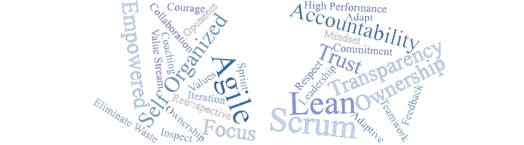 Agile Coach | A Valuable Role for Organizational Change